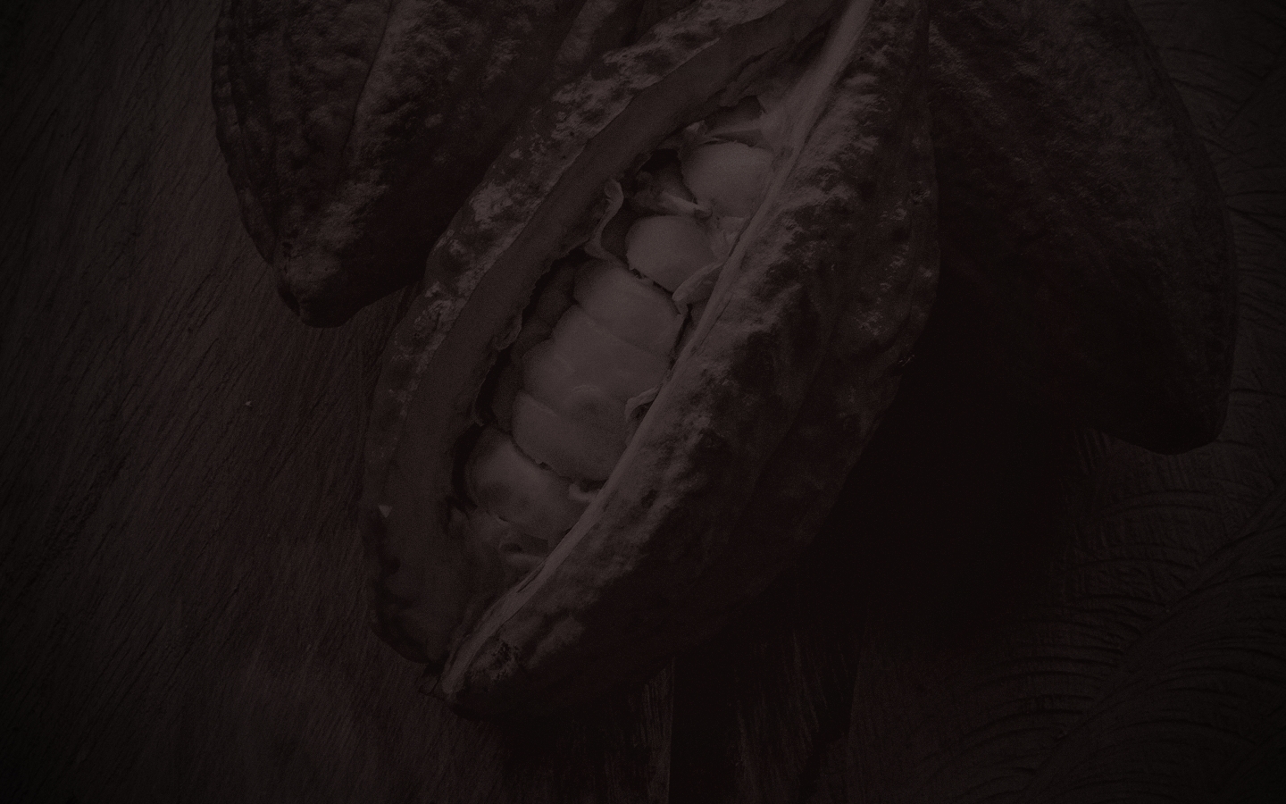 Knowledge | Chocolaterie de l'Opéra